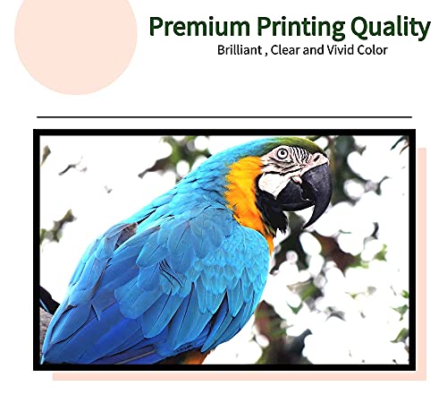 HP 305A Black, Cyan, Magenta, Yellow Toner Cartridges (5-Pack) Works with Laserjet Pro 300 M351, Laserjet Pro 300 MFP M375, Laserjet Pro 400 M451, Laserjet Pro 400 MFP M475