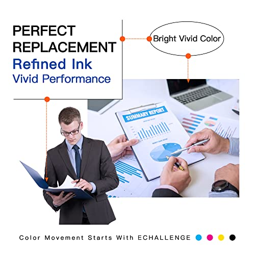 ECHALLENGE 202XL Ink Cartridges - High Capacity Black & Standard Color 4 Pack Remanufactured Ink for epson 202 Ink cartridges Expression Home XP-5100 Workforce WF-2860 Printers