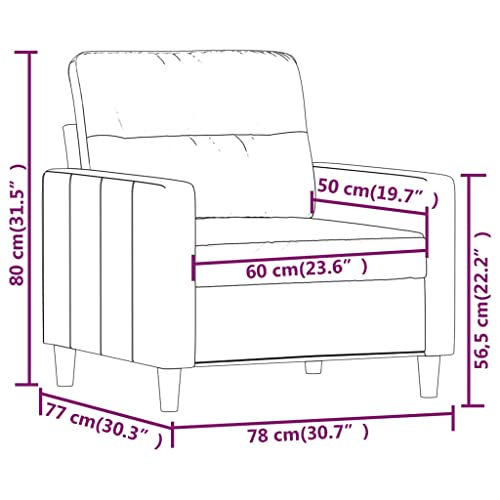 WHOPBXGAD Sofa Chair,Living Room Sofas, upholstered Sofas for Living Rooms, bedrooms, Offices and Apartments,Dark Gray 23.6" Fabric