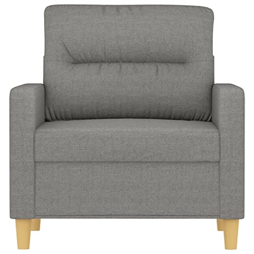 WHOPBXGAD Sofa Chair,Living Room Sofas, upholstered Sofas for Living Rooms, bedrooms, Offices and Apartments,Dark Gray 23.6" Fabric