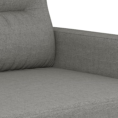 WHOPBXGAD Sofa Chair,Living Room Sofas, upholstered Sofas for Living Rooms, bedrooms, Offices and Apartments,Dark Gray 23.6" Fabric