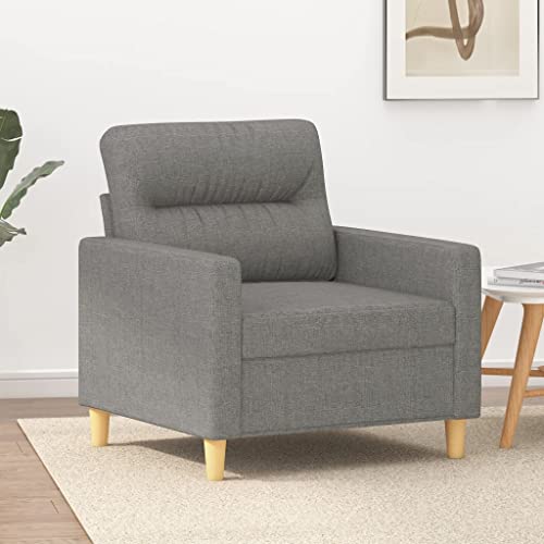 WHOPBXGAD Sofa Chair,Living Room Sofas, upholstered Sofas for Living Rooms, bedrooms, Offices and Apartments,Dark Gray 23.6" Fabric