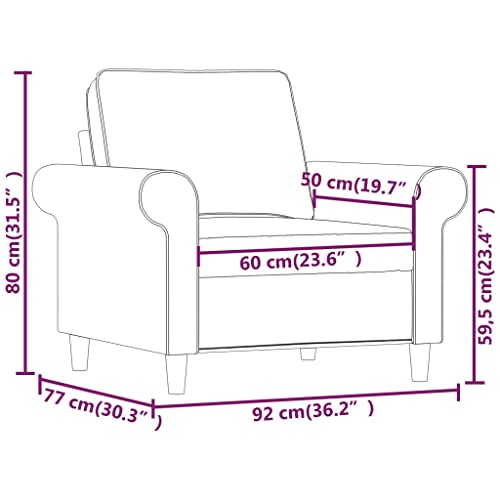 WHOPBXGAD Sofa Chair,Living Room Sofas, upholstered Sofas for Living Rooms, bedrooms, Offices and Apartments,Dark Gray 23.6" Fabric