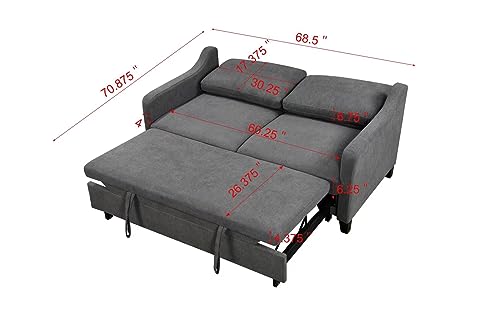 FANYE Loveseat Sofa with Pull Out Sleeper Couch Bed,2 Seater Sofa & Couch W/Adjustable Backrest and Pillows for Home Apartment Office Living Room Furniture Sets