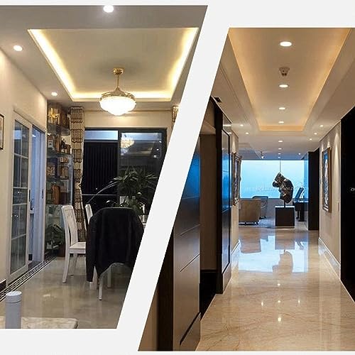 DAKWA 3W Spotlight Aluminum Metal COB Recessed Ceiling Light 3000K/4000K/6000K Selectable Daylight for Home (Size : 6500K White Light)