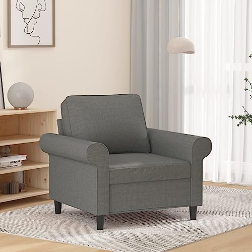 WHOPBXGAD Sofa Chair,Living Room Sofas, upholstered Sofas for Living Rooms, bedrooms, Offices and Apartments,Dark Gray 23.6" Fabric
