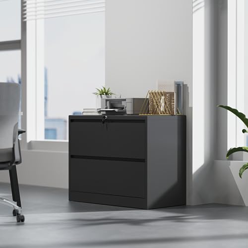 Hak 2 Drawer Lateral File Cabinet with Lock, Black Metal Filing Cabinet for Home Office, Locking Office File Cabinet for Hanging Files Letter/Legal/F4/A4 Size