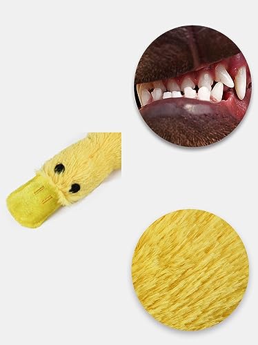 2 Pack Dog Chew Toys Soft Squeaker Dog Toy Plush Duck for Aggressive Chewers Large, Medium Small Dogs, Plush Crinkle Pet Supplies (Yellow)