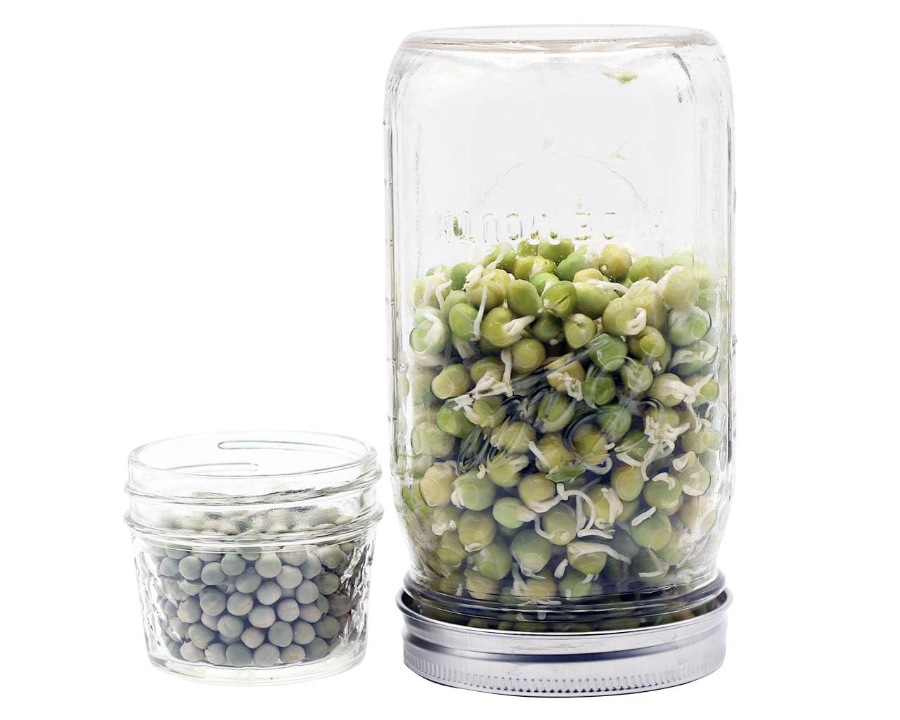 3 Pack Rust Proof Sprouting Lids for Wide Mouth Mason Jars by Mason Jar Lifestyle - Curved For Better Airflow - 316 Stainless Steel - One Piece Design…