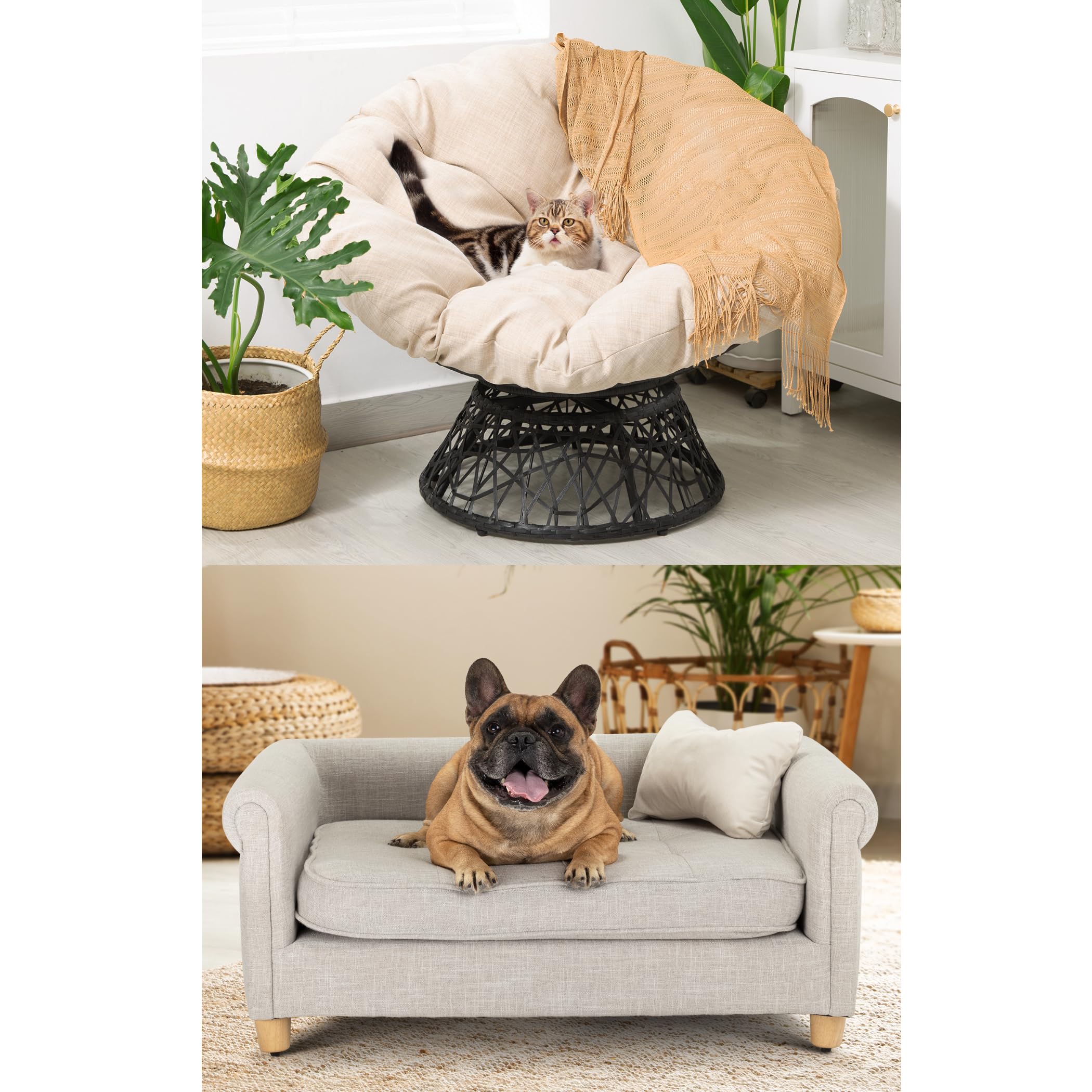 Bme Ergonomic Wicker Papasan Chair with dCee Cat Couch - Small Dog Sofa Light Gray, Soft Thick Density Fabric Cushion, High Capacity for Livingroom, Bedroom, Reading Room