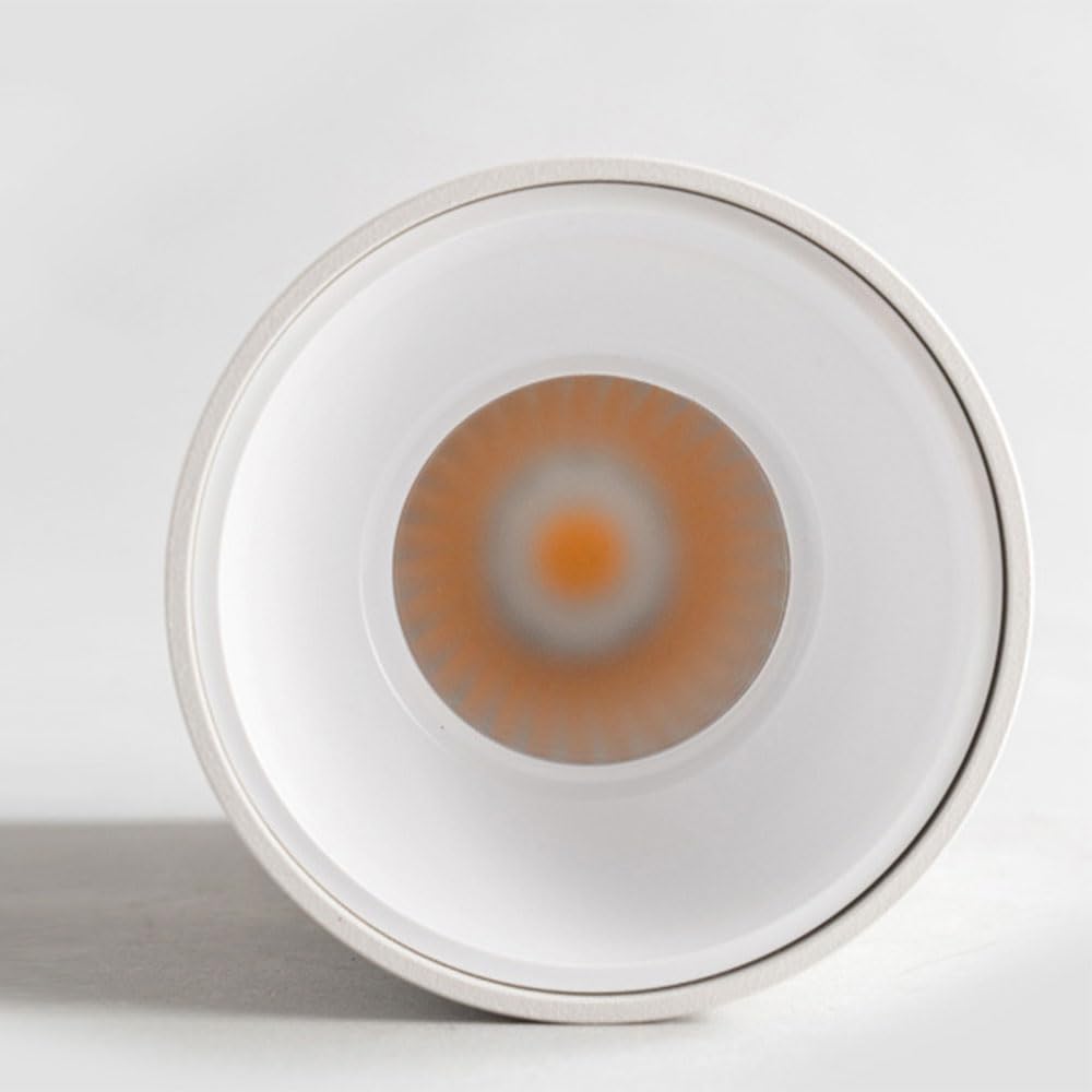 IOEDHW Nordic Cylinder Surface Mounted Spotlight Anti-Glare Ceiling Lamps Household Decoration LED Ceiling Spot Lamps Indoor Aluminum Downlight Energy Saving High Brightness Ceiling Down Lighting