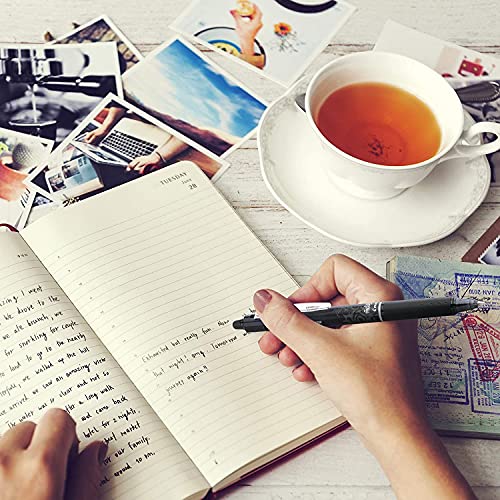 PILOT FriXion Clicker Erasable, Refillable & Retractable Gel Ink Pens, Fine Point, Assorted Color Inks, 10 Count (Pack of 1) Pouch (11336)