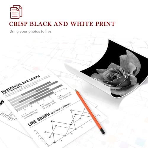 58A CF258A Toner Cartridge (No Chip) Replacement for HP 58A CF258A 58X CF258X for HP M404n M404dn M404dw M404 MFP M428fdw M428fdn M428dw M428 M304 Toner Printer (Black, 2 Pack)