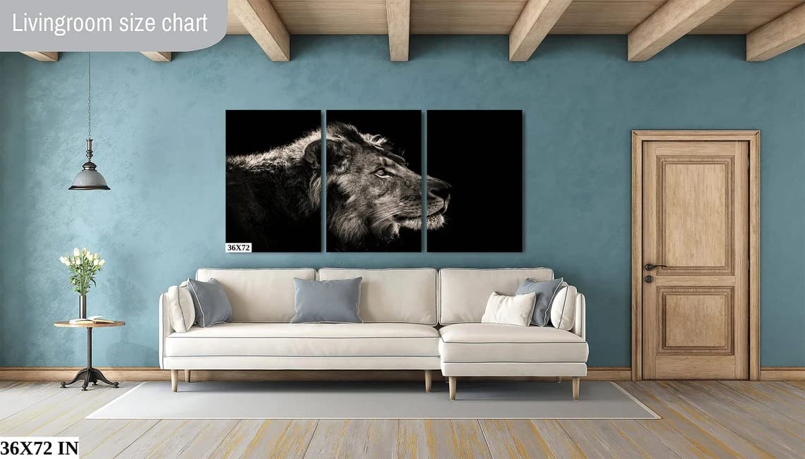 Lion (Panthera leo) - Print/Canvas/Acrylic/Metal (Print Only, 11x14 Inches)