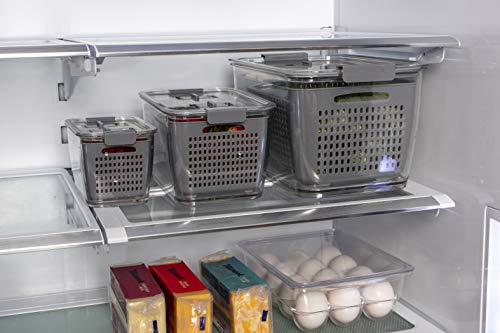 Kitchen Spaces Gray Colander Bin Variety Pack, Fridge Organizers, Produce Storage, Keep Vegetables Fresh, Lettuce, Grape or Strawberry Holder, Three Sizes