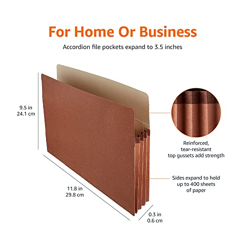 Amazon Basics Expanding File Pocket Folder Organizer, Letter Size, 3.5-Inch Expansion - 25-Pack, 9.5 x 11.75 Inches