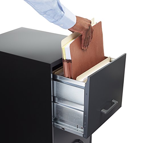Amazon Basics Expanding File Pocket Folder Organizer, Letter Size, 3.5-Inch Expansion - 25-Pack, 9.5 x 11.75 Inches