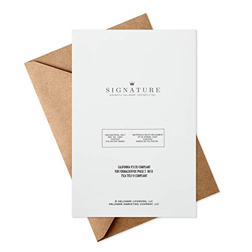 Hallmark Signature Valentines Day Card, Anniversary Card, Love Card for Significant Other (Smores)