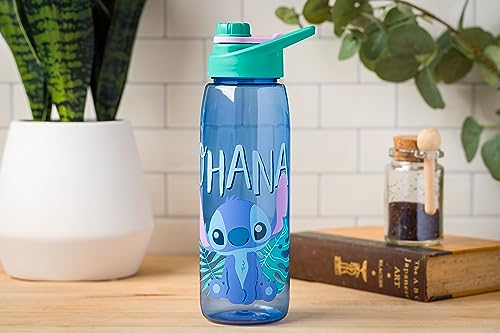 Silver Buffalo Disney Lilo and Stitch Ohana Cute Stitch Water Bottle with Screw-On Lid, 28 Ounces