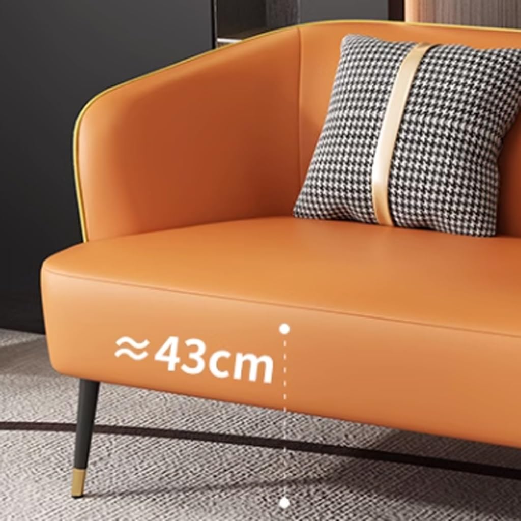 Couch for Living Room Nordic Simple Sofa Small Apartment Living Room Modern Clothing Store Double Cat Claw Fabric Sofa Light Luxury Sofa Sleeper Samll Sofa