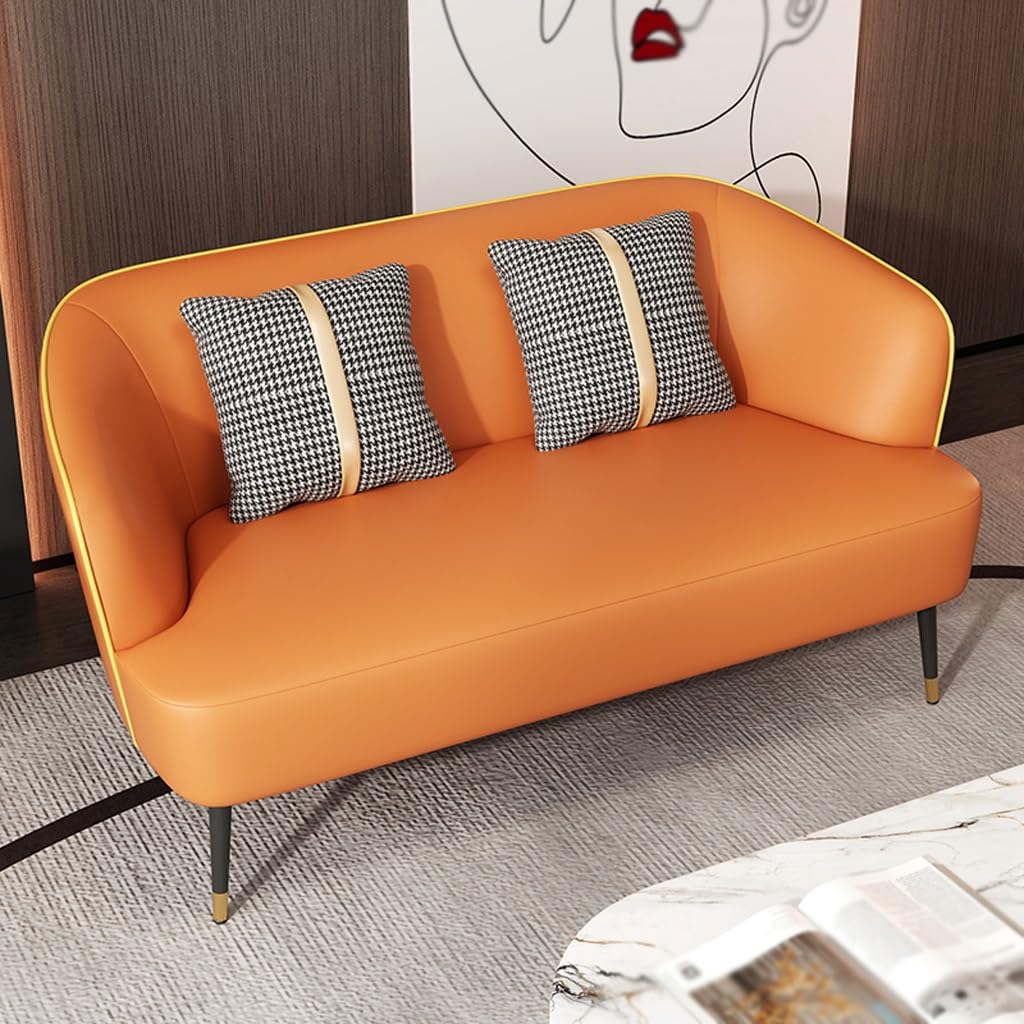 Couch for Living Room Nordic Simple Sofa Small Apartment Living Room Modern Clothing Store Double Cat Claw Fabric Sofa Light Luxury Sofa Sleeper Samll Sofa