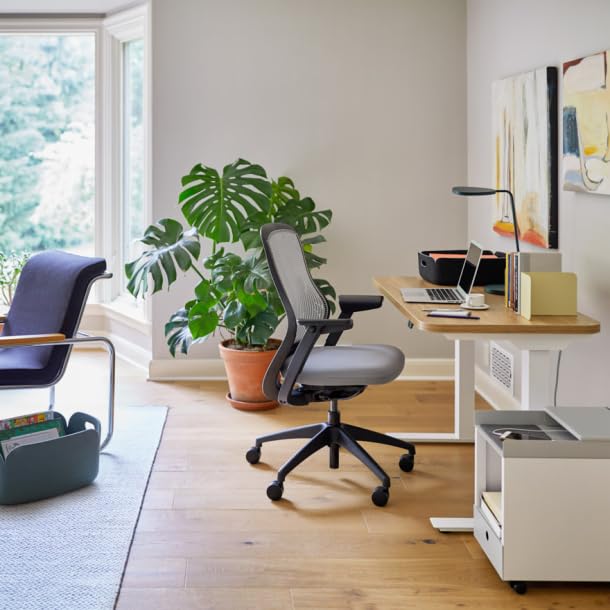 Knoll Regeneration Adjustable Ergonomic Office Desk Chair with Flex Back, Onyx/Pebble