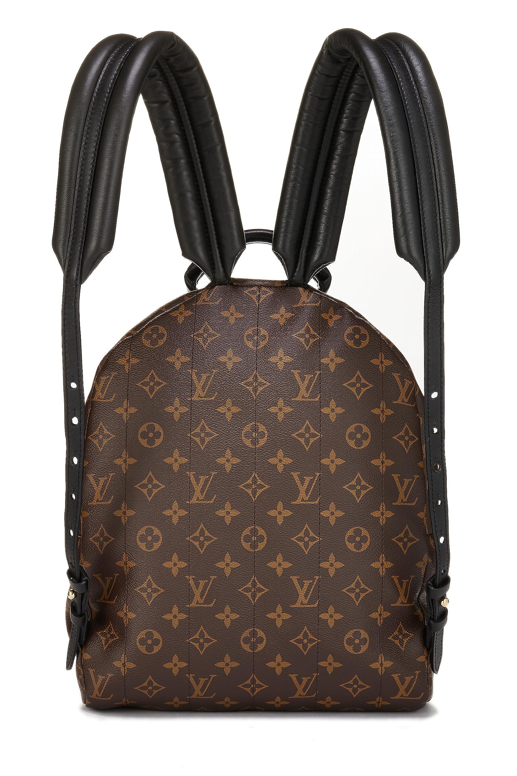 Louis Vuitton, Pre-Loved Monogram Canvas Palm Springs Backpack MM, Brown