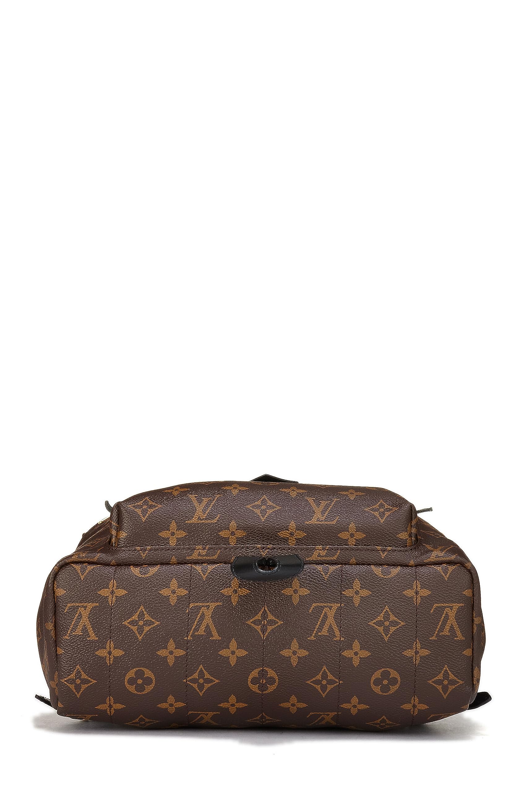 Louis Vuitton, Pre-Loved Monogram Canvas Palm Springs Backpack MM, Brown
