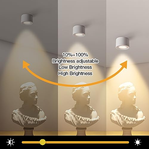 3.9" LED COB Ceiling Spotlight Indoor,7W 3000K Dimmable Warm White Directional Accent Light Fixture,White Aluminum Spot Light for Hallway Corridor Gallery Display Kitchen Living Room and Bedroom