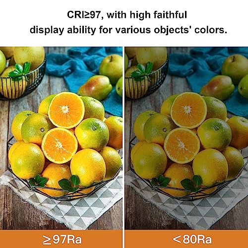 3.9" LED COB Ceiling Spotlight Indoor,7W 3000K Dimmable Warm White Directional Accent Light Fixture,White Aluminum Spot Light for Hallway Corridor Gallery Display Kitchen Living Room and Bedroom