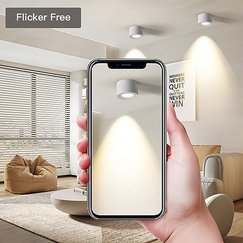 3.9" LED COB Ceiling Spotlight Indoor,7W 3000K Dimmable Warm White Directional Accent Light Fixture,White Aluminum Spot Light for Hallway Corridor Gallery Display Kitchen Living Room and Bedroom