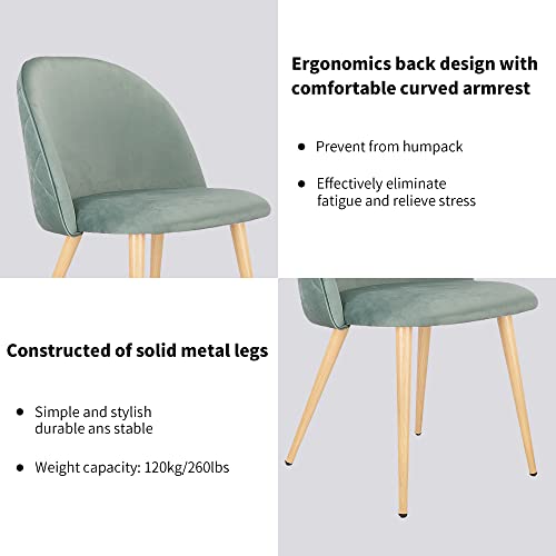 ExAchat Dining Chairs Set of 4, Velvet Dining Room Chairs Modern Kitchen Chairs with Backrest Wooden Style Metal Legs for Dining Room Living Room Restaurant Cafe Kitchen Green