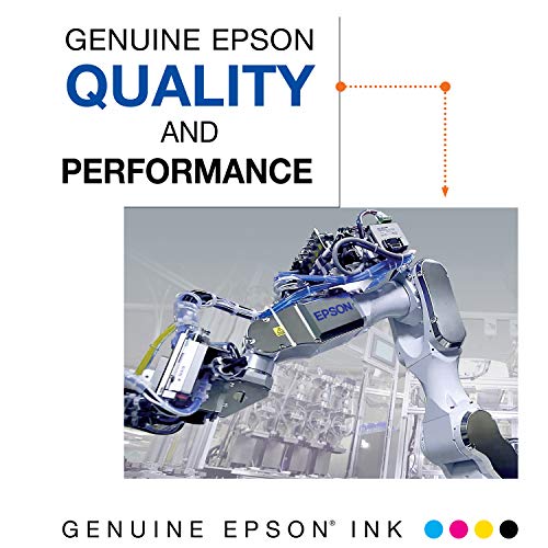 EPSON T220 DURABrite Ultra -Ink Standard Capacity Black Dual -Cartridge Pack (T220120-D2) for select Epson Expression and WorkForce Printers
