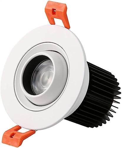 UANGLI Sturdy 12W/20W/30W COB Ultra Bright Recessed Ceiling Spotlights Modern Round Anti-Glare Embedded Downlights Aisle (Size : 20w)