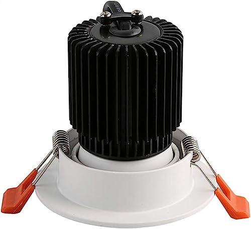 UANGLI Sturdy 12W/20W/30W COB Ultra Bright Recessed Ceiling Spotlights Modern Round Anti-Glare Embedded Downlights Aisle (Size : 20w)