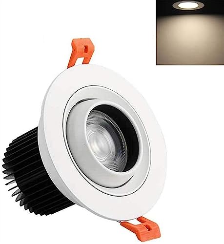 UANGLI Sturdy 12W/20W/30W COB Ultra Bright Recessed Ceiling Spotlights Modern Round Anti-Glare Embedded Downlights Aisle (Size : 20w)