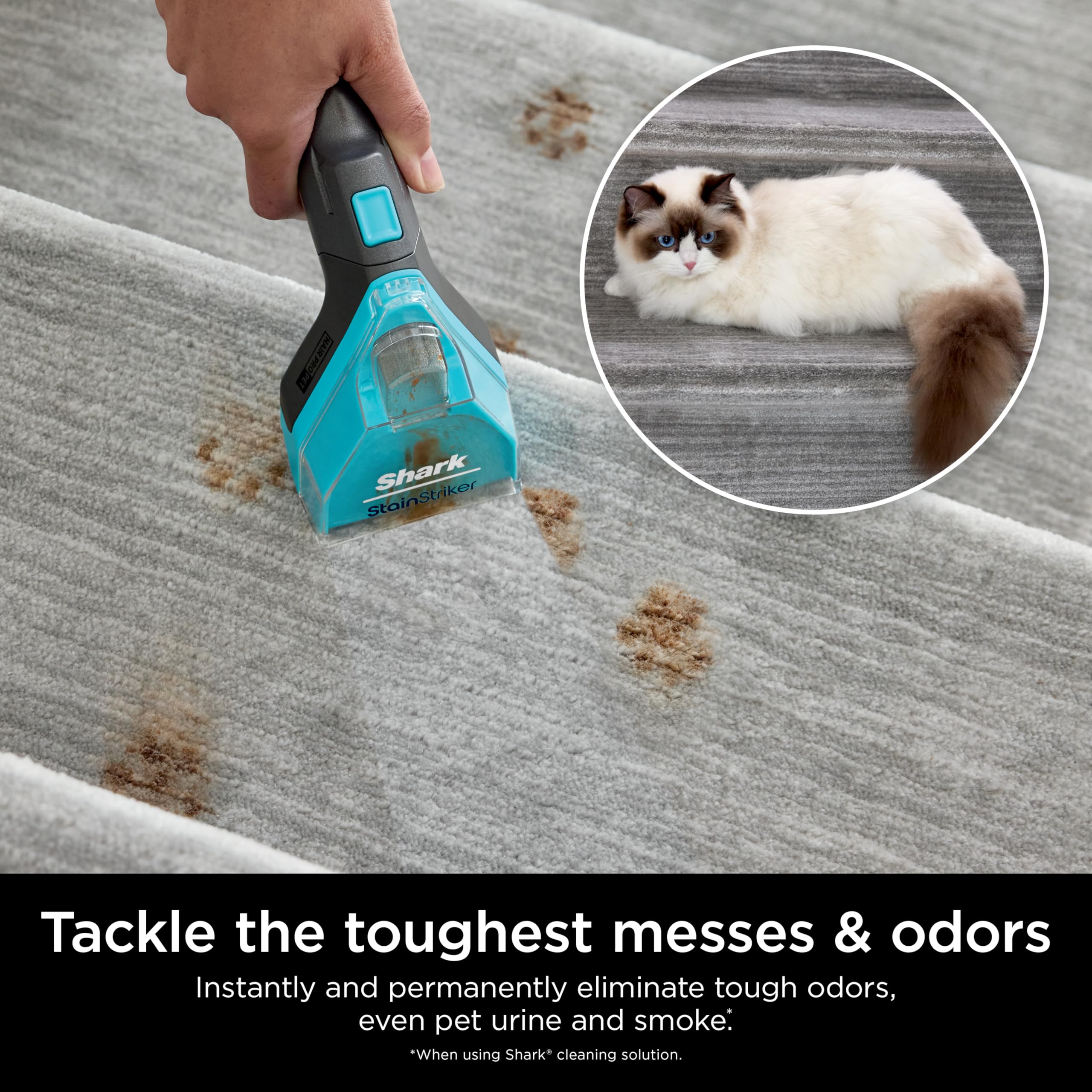 Shark StainStriker OXY Multiplier Formula for All Shark Portable & Upright Carpet Cleaners, Formulated for All Carpets, Upholstery & Area Rugs, Instantly Eliminates Odors, 32oz, EXOX32