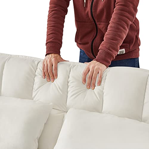 ERYE 53" W Futon Loveseat Sofa Convertible Sofabed, Functional Reclining Backrest Love Seat Sofa&Couch W/Pull Out Sleep Couch Bed for Living Room, White Velvet 2 Pillows