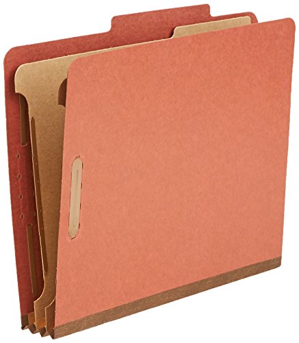 Amazon Basics Letter Size Pressboard Classification File Folder with Fasteners, 2 Dividers, 2-Inch Expansion, Red - Pack of 10