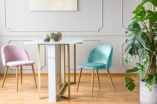 Fangflower Pink Velvet Dining Chairs Set of 2 with Wooden-Like Legs, Upholstered Side Vanity Armless Seat for Living, Makeup Room, Bedrooms, Kitchen, Standard