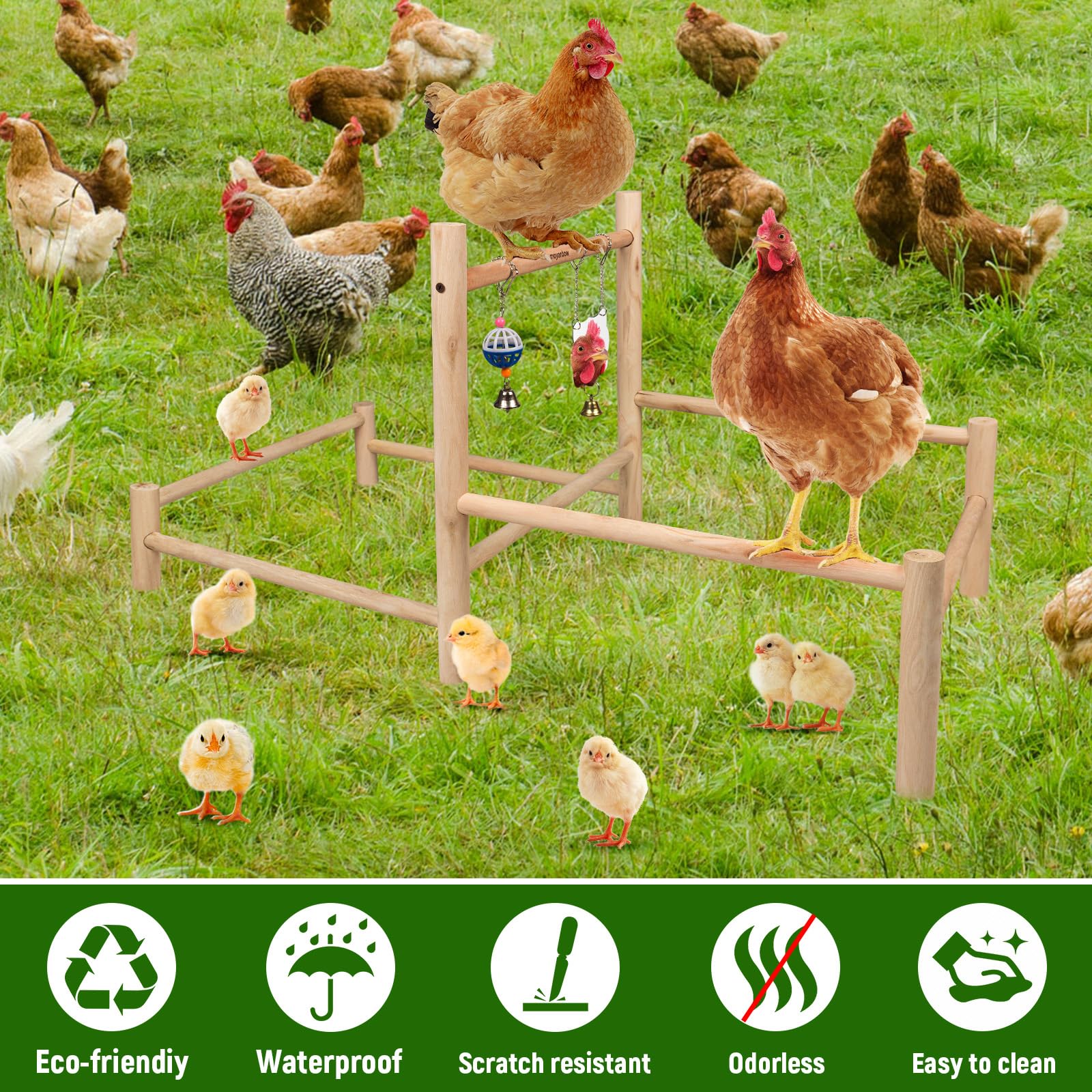 Chicken Perch Strong Pine Wooden Chick Jungle Gym Roosting Bar, Large ChickTraining Perch Toys for Baby Chicks, Chick Perch for Coop and Brooder for Large Bird, Chicks, Parrot