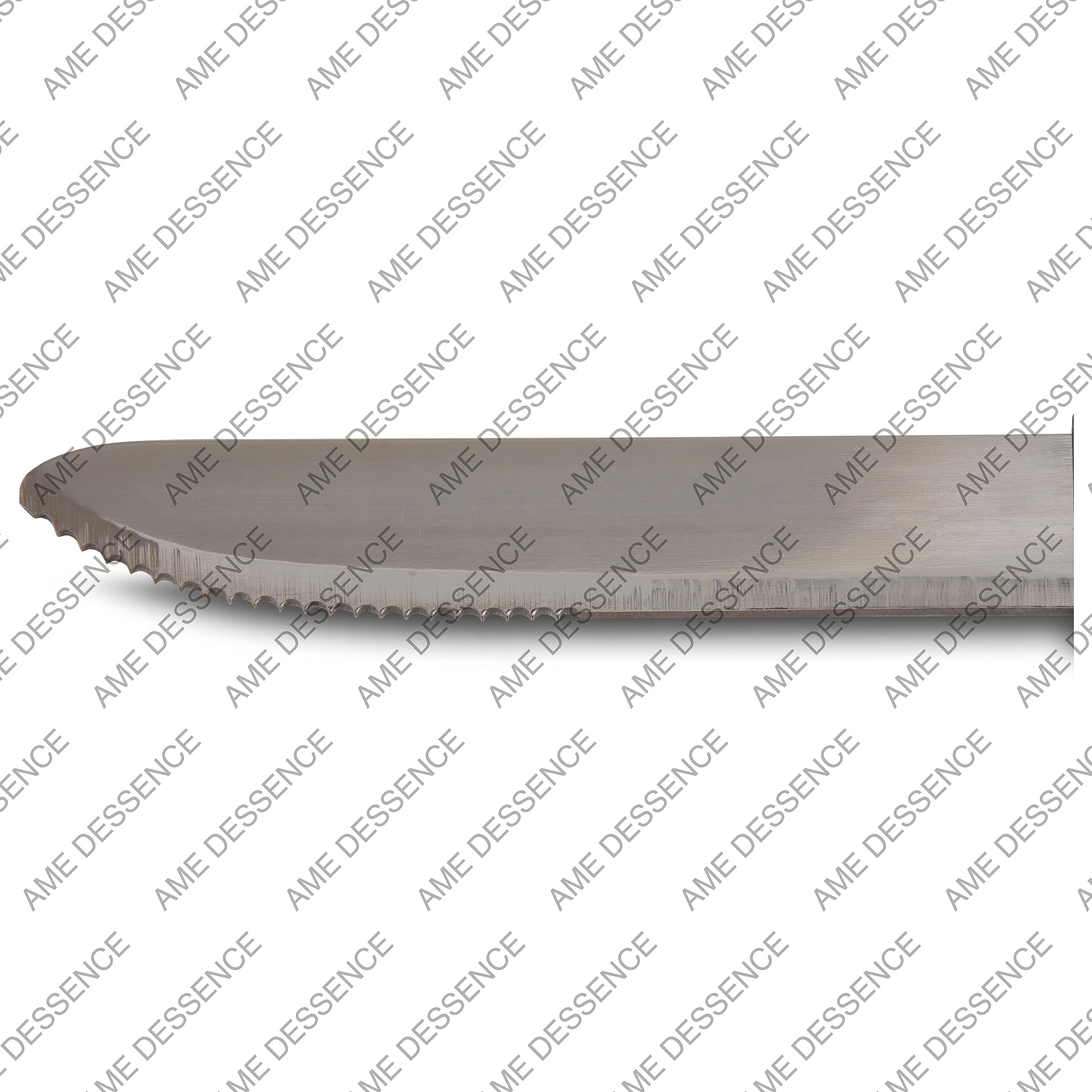 AME D’ESSENCE Set of 12 Stainless Steel Jumbo Steak Knives - 5 Inch Serrated Edge, Round Tip, Plastic Handle - Perfect for Kitchen, Butter Cutlery, and Restaurants