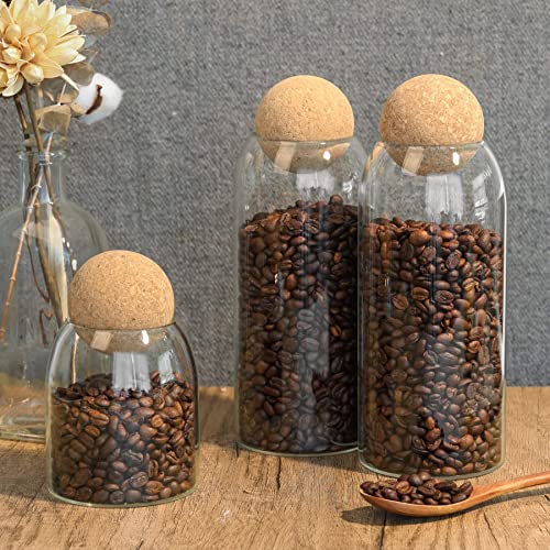 ComSaf 480ml/16Oz Glass Storage Container with Ball Cork, 3Pcs Glass Jar with Cork Lid, Round Cork Glass Bottle, Small Candy Jar with Wood Ball Lid for Food, Coffee, Sugar, Spice, Tea, DIY Decoration