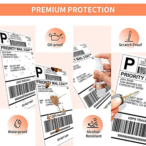 Phomemo Thermal Label Printer, with Label Holder and Pack of 500 4x6 Fan-fold Labels, Pink Direct USB Thermal 4×6 Shipping Label Printer Maker, PM-246s Series