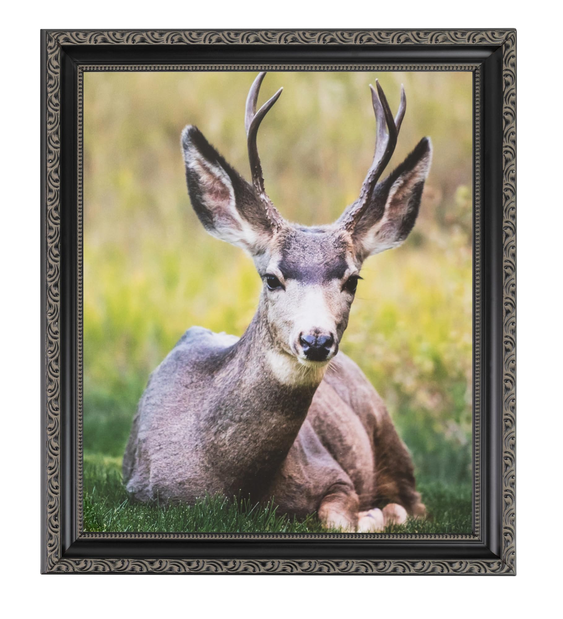 ArtToFrames 16x20 Inch Black Picture Frame, This 1.25 Inch Custom Poster Frame is Antique Black - Comes with Economy Acrylic and Corrugated Backing (WOM5106-16x20)