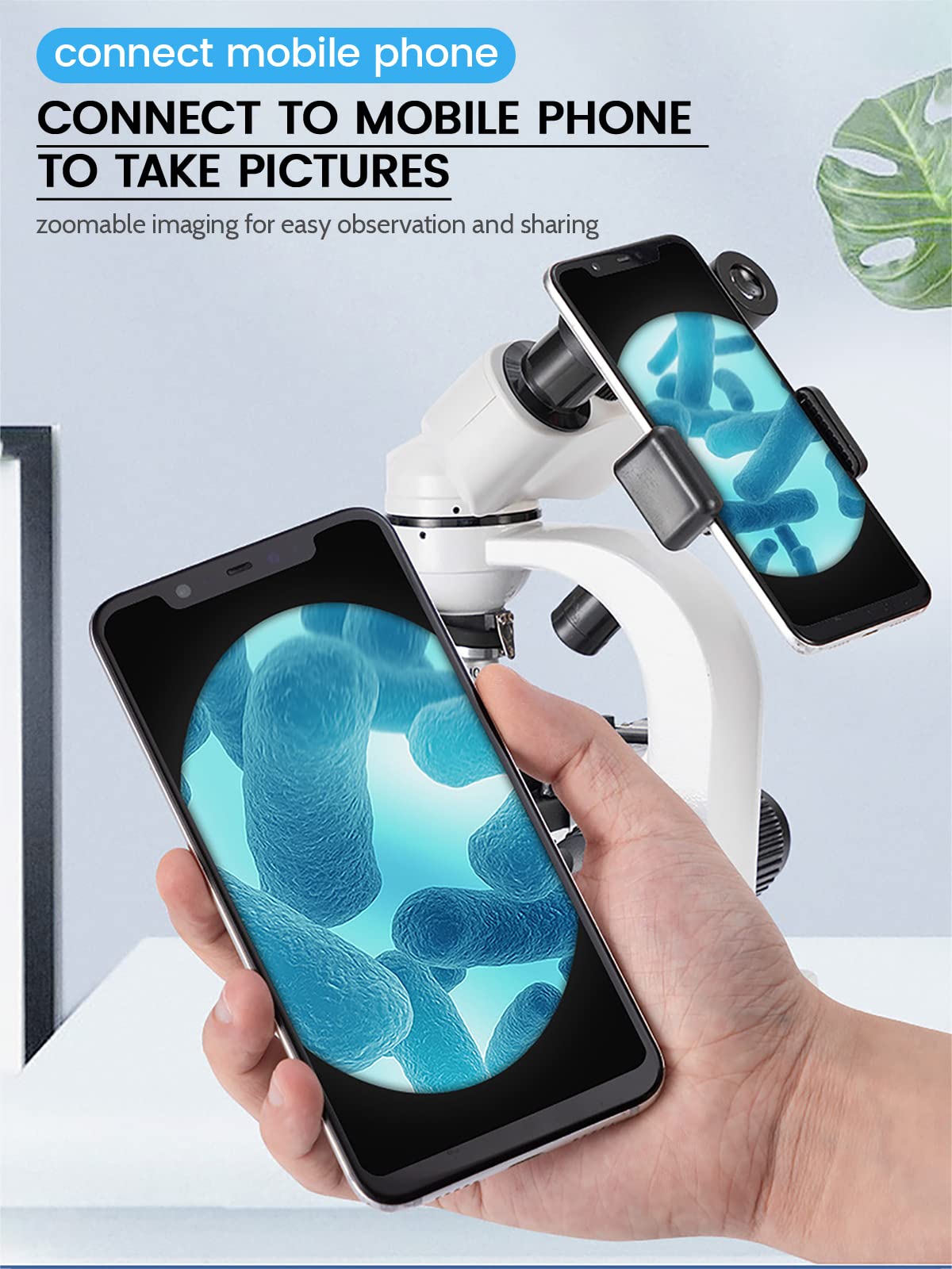 Crspexil Compound Binocular Microscopes 40X-2000X with 2.0 mp Camera, with Microscope Prepared Slides 30p,for Kids Students Adults,Microscope Accessories, Phone Adapter