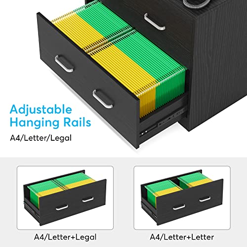 LITTLE TREE Lateral File Cabinet with 2 Drawers, 31.5 Inches Large Filing Cabinet for Hanging Letter/Legal/F4/A4 Size Files with Lock, Home Office, Black