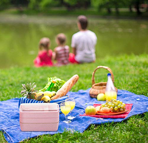 Bento Box Lunch Box for Adults Kids, AsFrost 3-In-1 Compartment Containers - Wheat Straw, Leakproof Eco-Friendly Bento Lunch Box Meal Prep Containers Microwave Safe (Pink)