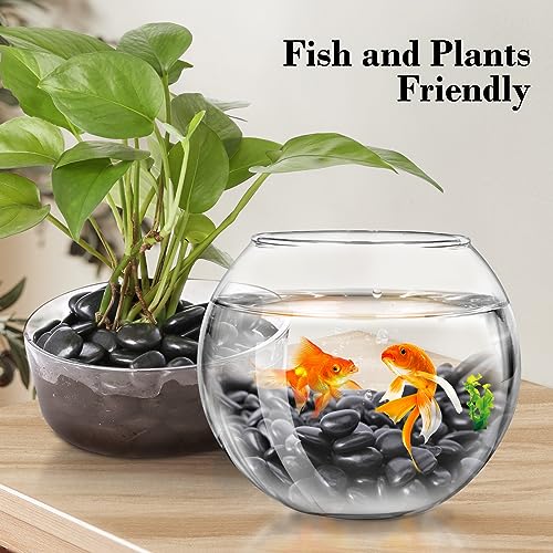 GRISUN 15lbs Black Natural River Rocks for Landscaping, Polished Pebbles for Plants Flower Bed Fish Tank Gravel Garden Home Decor, Aquarium Decorative Stones