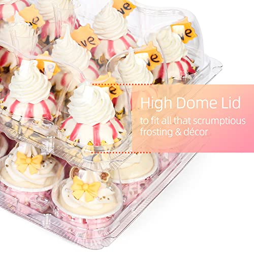 LotFancy Mini Cupcake Containers, 12 Count, 40 Pack, Dozen Clear Plastic Cupcake Holder with Detachable Lid, High Dome, BPA Free